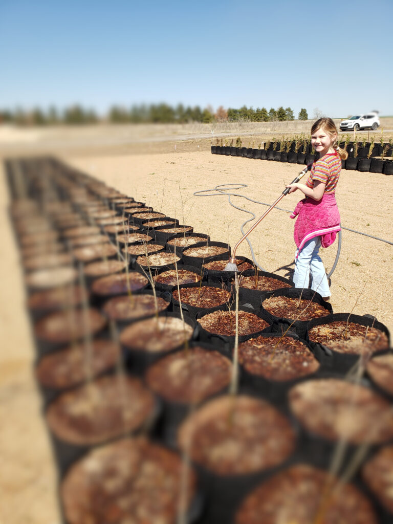 Arbors Tree Farm – Kansas Tree Farm Nursery
