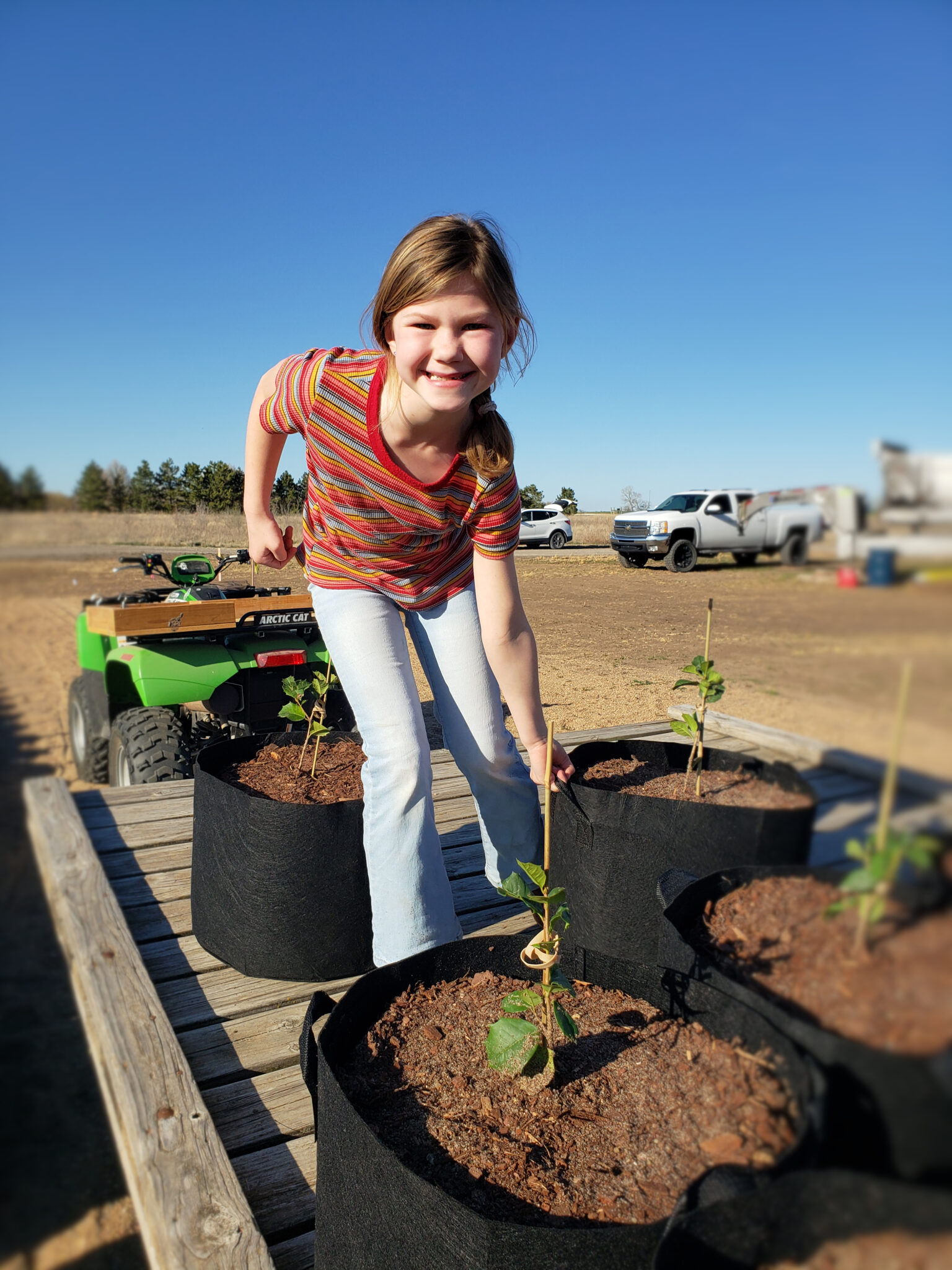 Arbors Tree Farm – Kansas Tree Farm Nursery