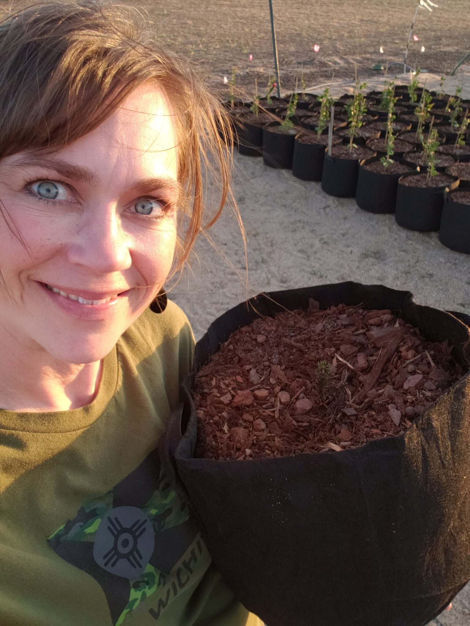 Arbors Tree Farm – Kansas Tree Farm Nursery